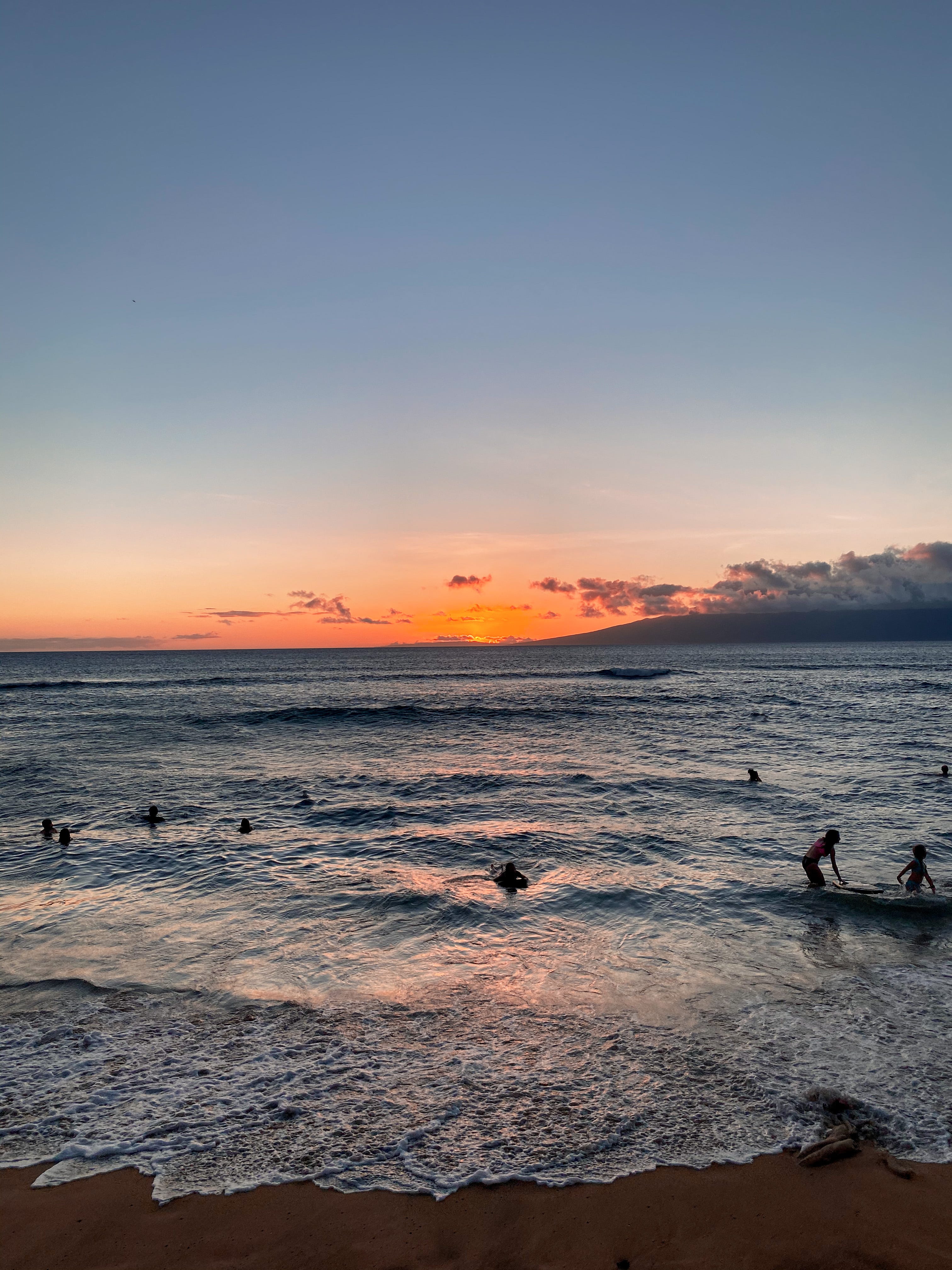 The Return of Concerts - by Donya Bayrami - Beats by Donya