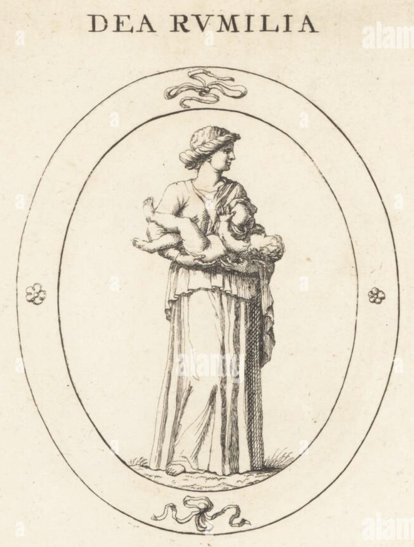 Diva Rumina - Booby Laine