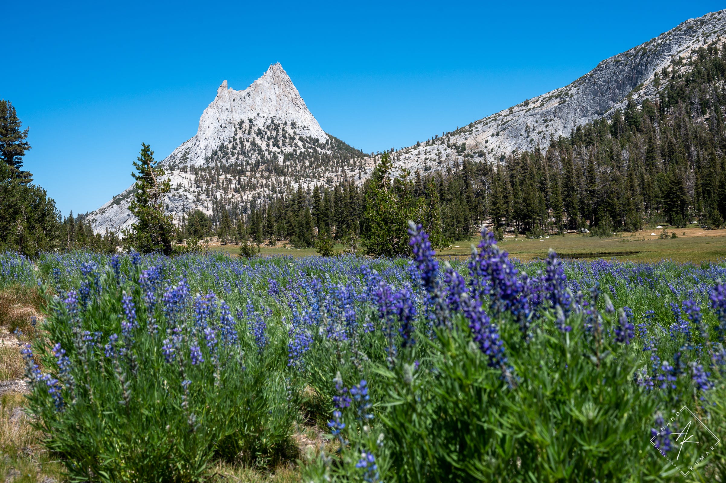 High Sierra Camp loop - by Anand Sankaran - NorcalHiker