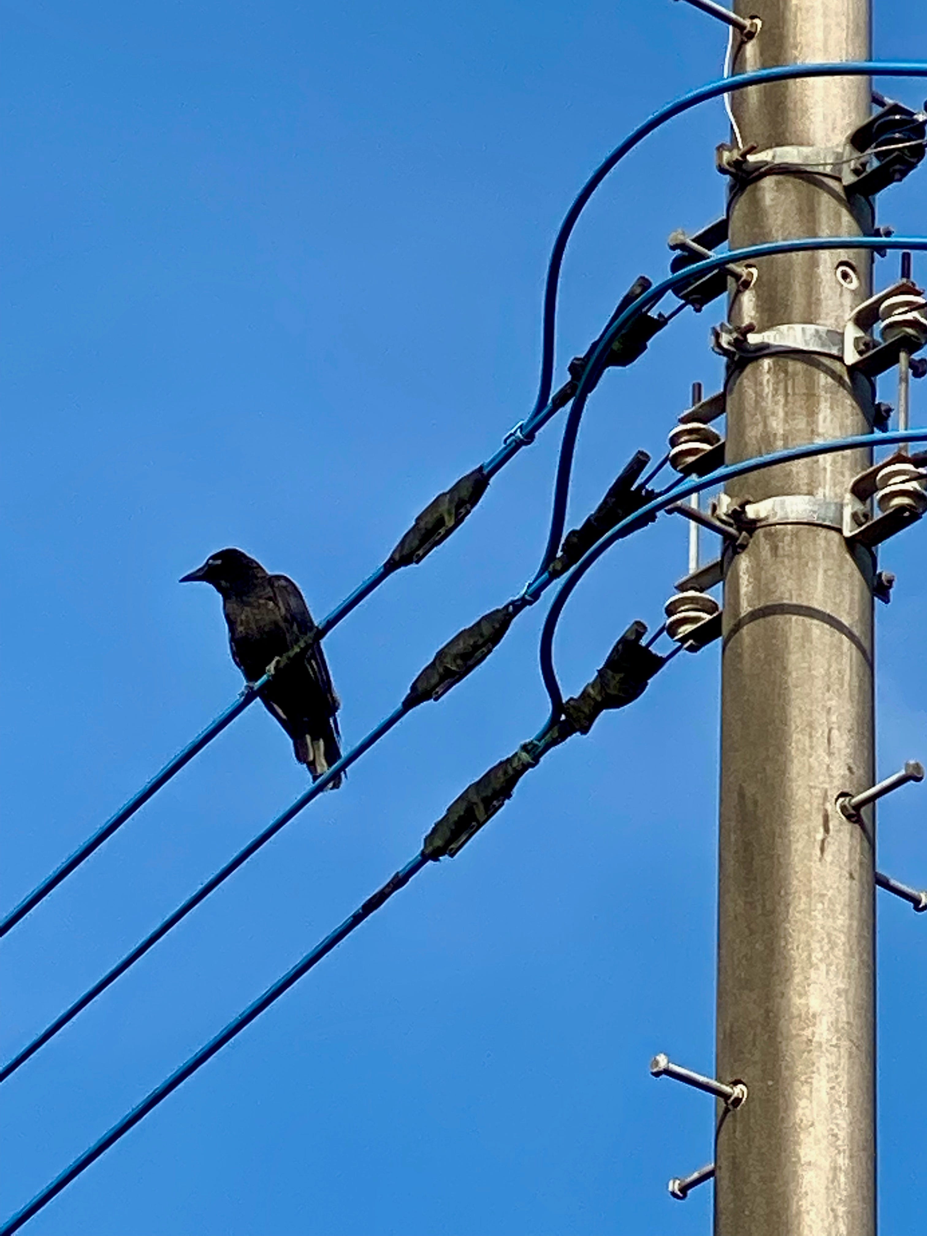 Storms - by Joel Neff - 91 Days