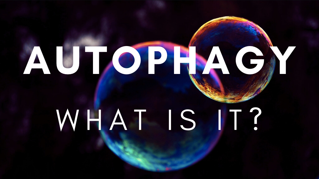 Why We Fast: Autophagy - Fasting Time with Celeste KL