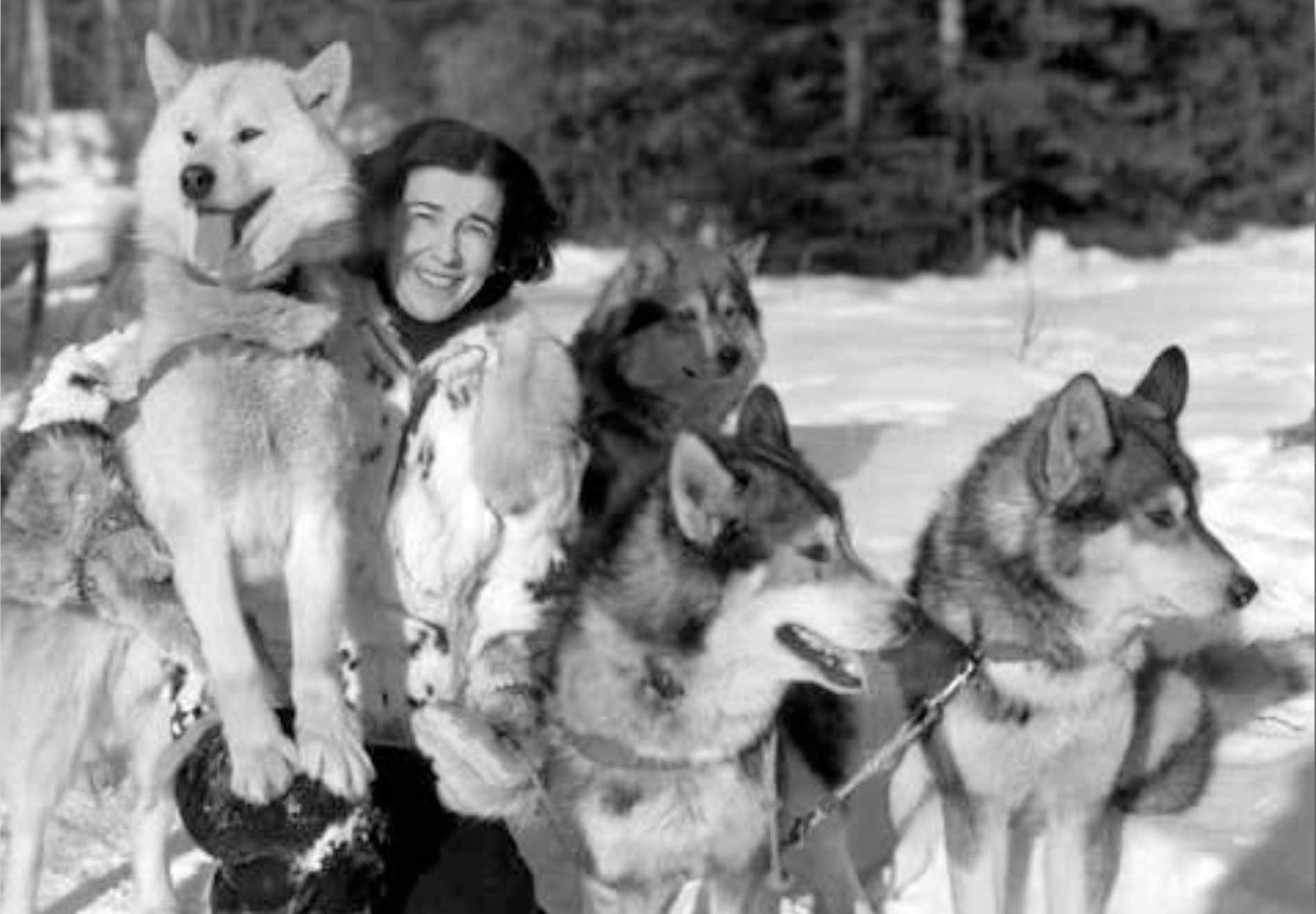 Mary Joyce, Adventurer - by Helen Hegener