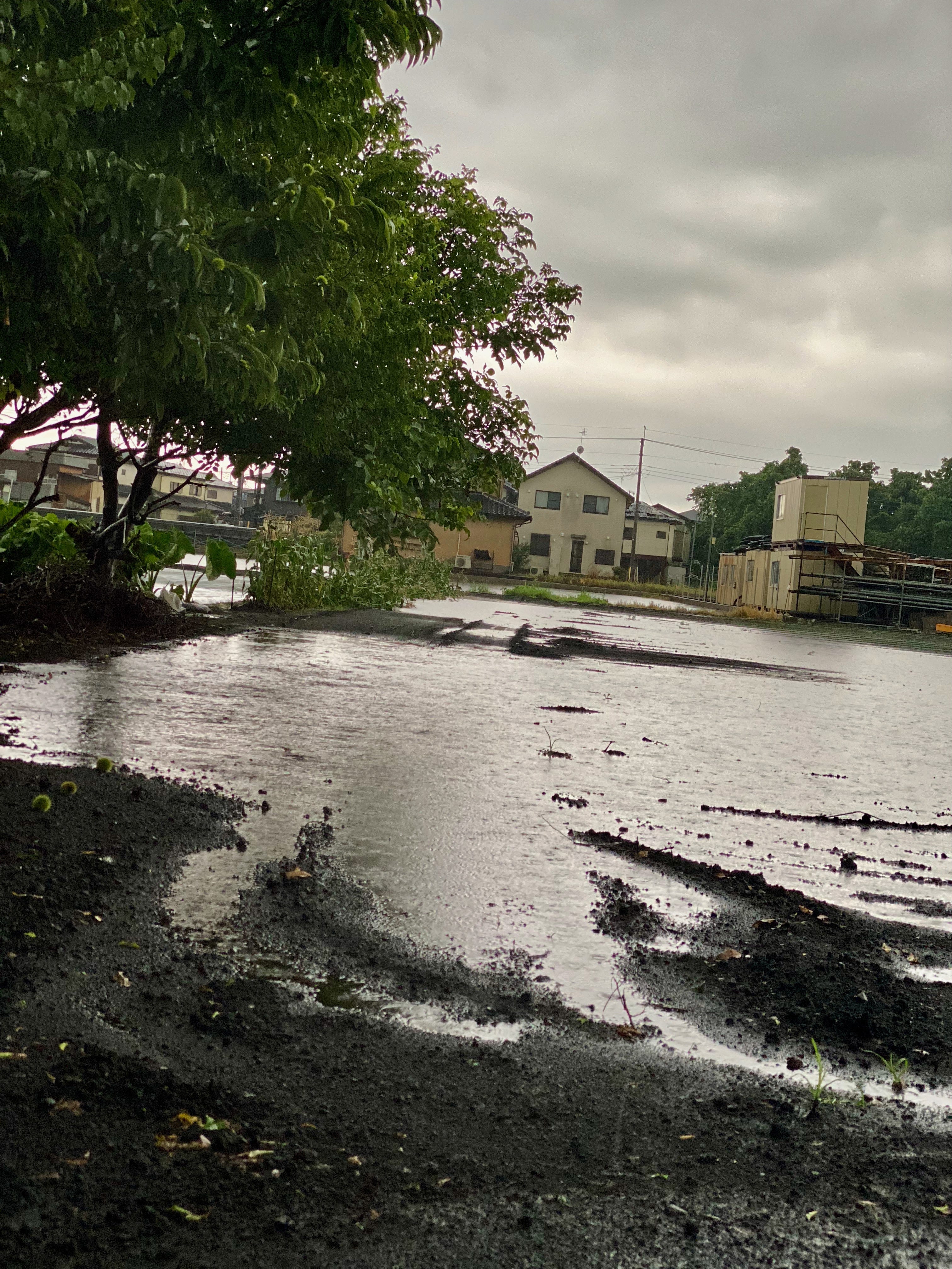 Storms - by Joel Neff - 91 Days