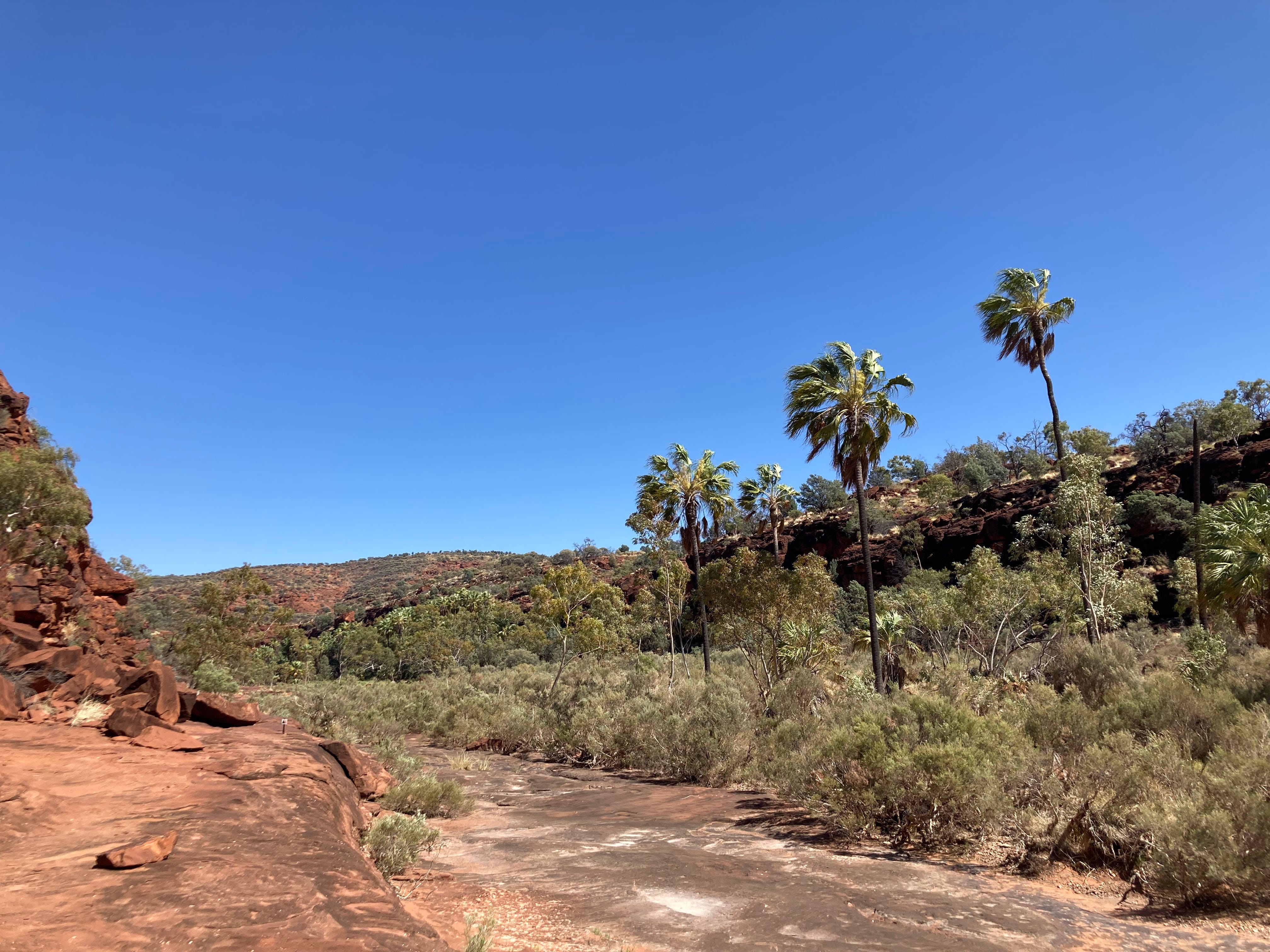 Australian Outback Adventure - by Giselle