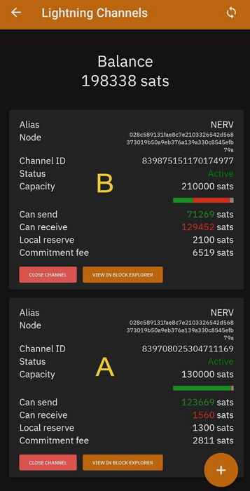 Getting started with Blixt Mobile Node - by DarthCoin ₿⚡️