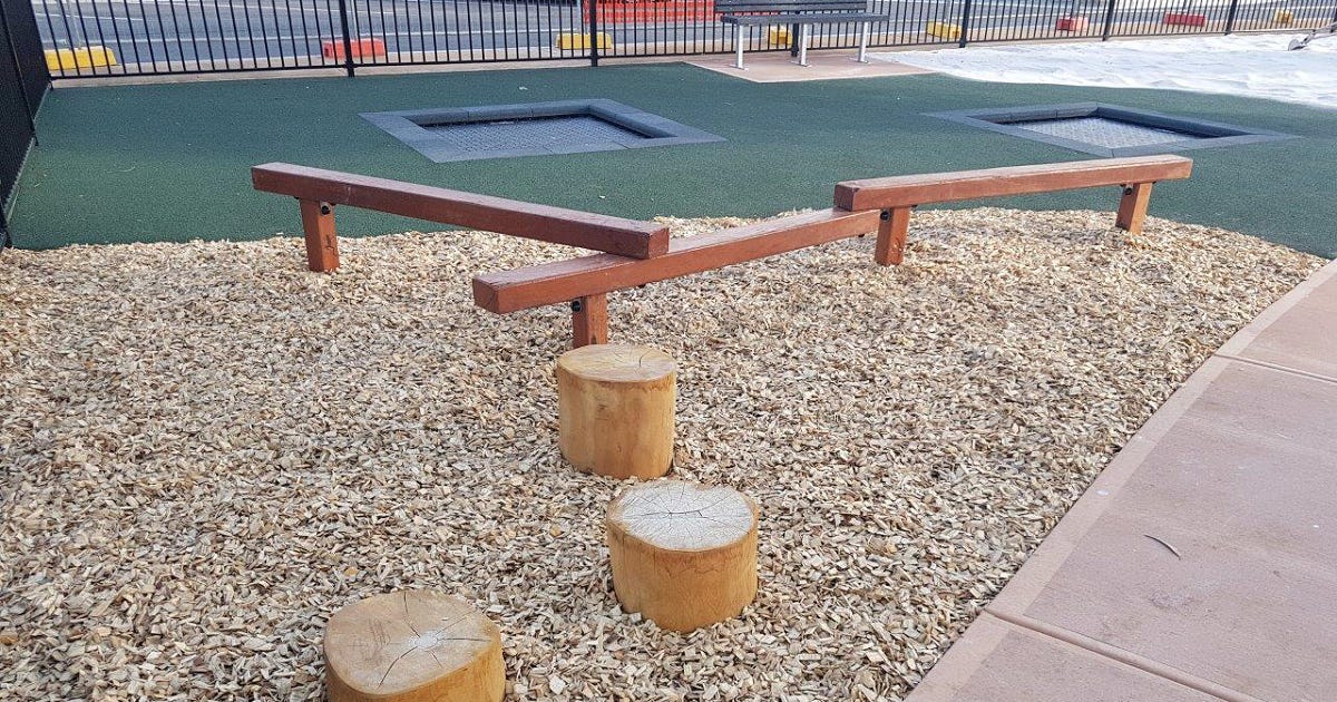 New playground opens at Mary Ann Reserve