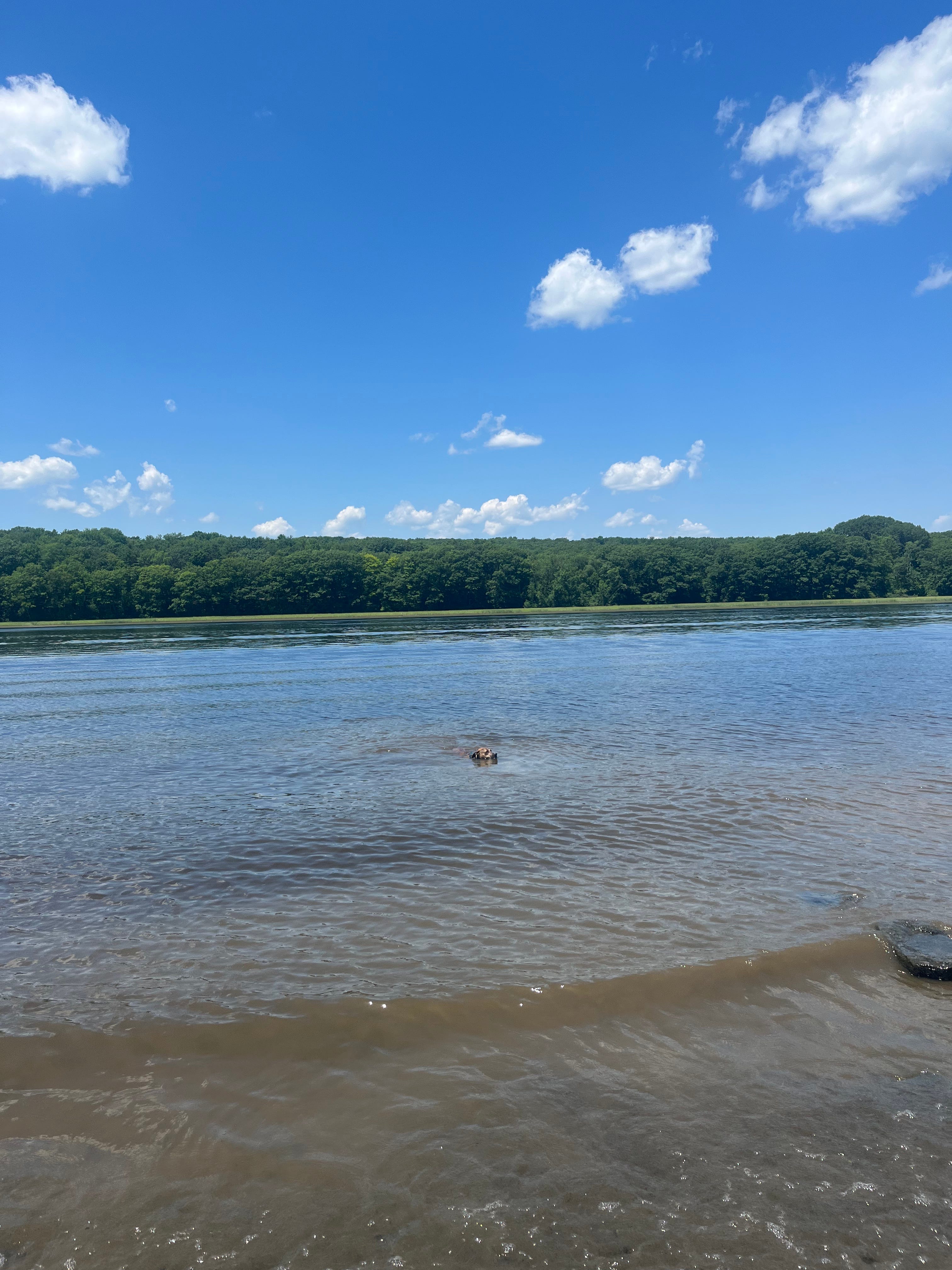 the bliss of being wrong - by Ruby Ted - conscious contact