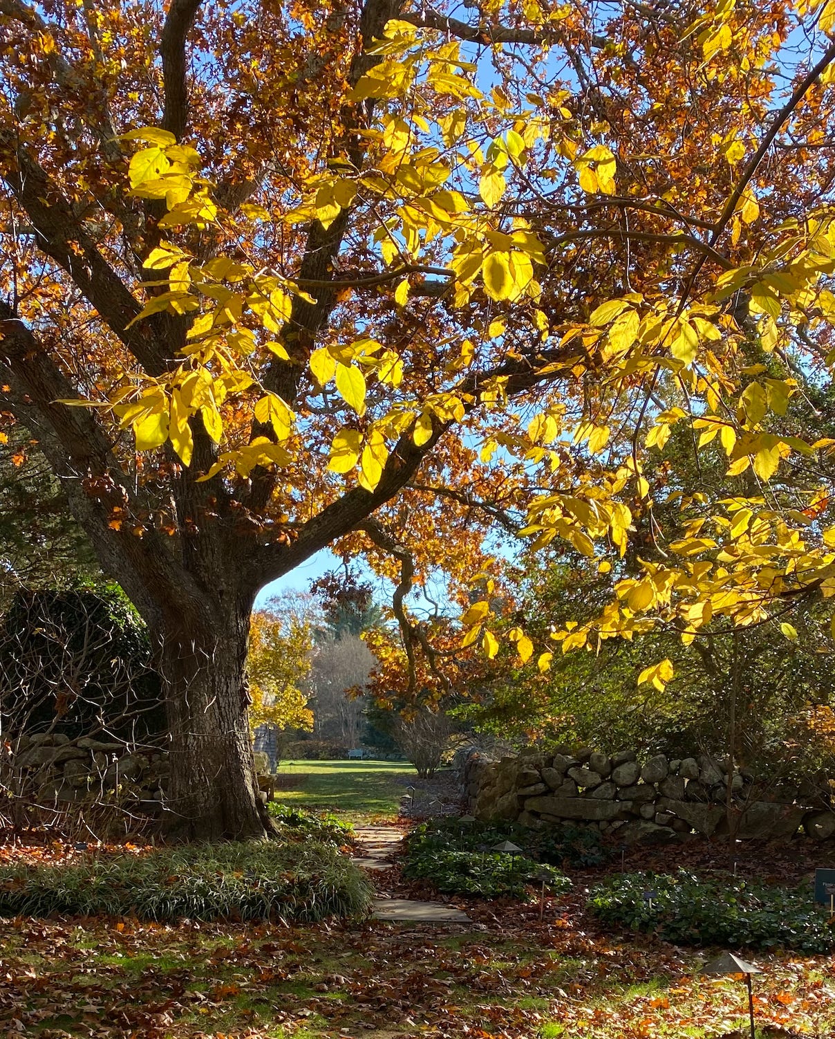🍁 Martha's Vineyard in the Off-Season: Fall Edition (2022)