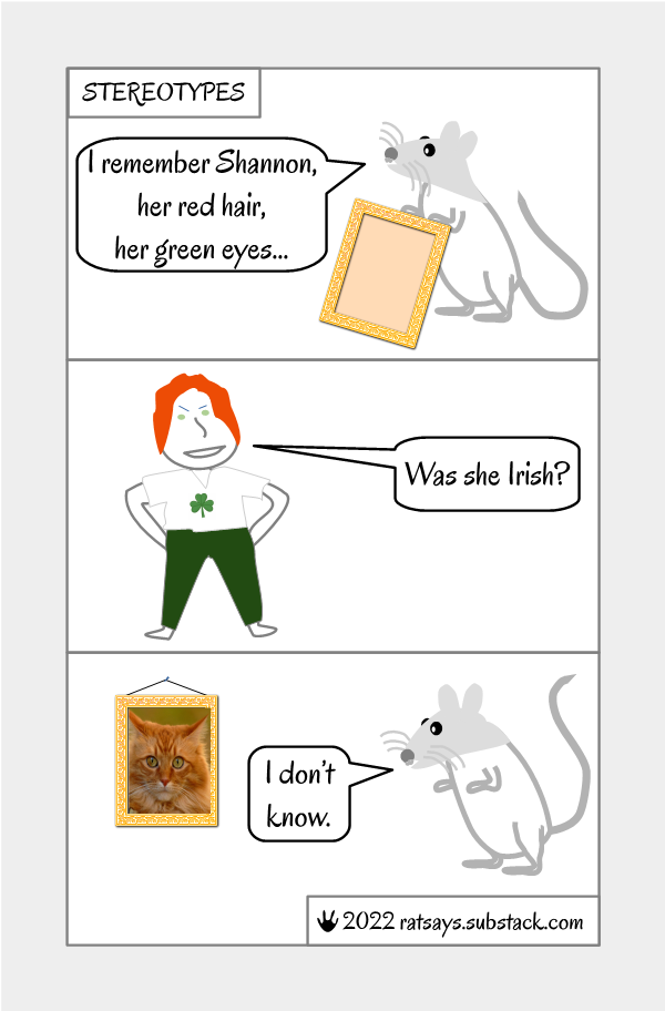 Stereotypes - Rat Says