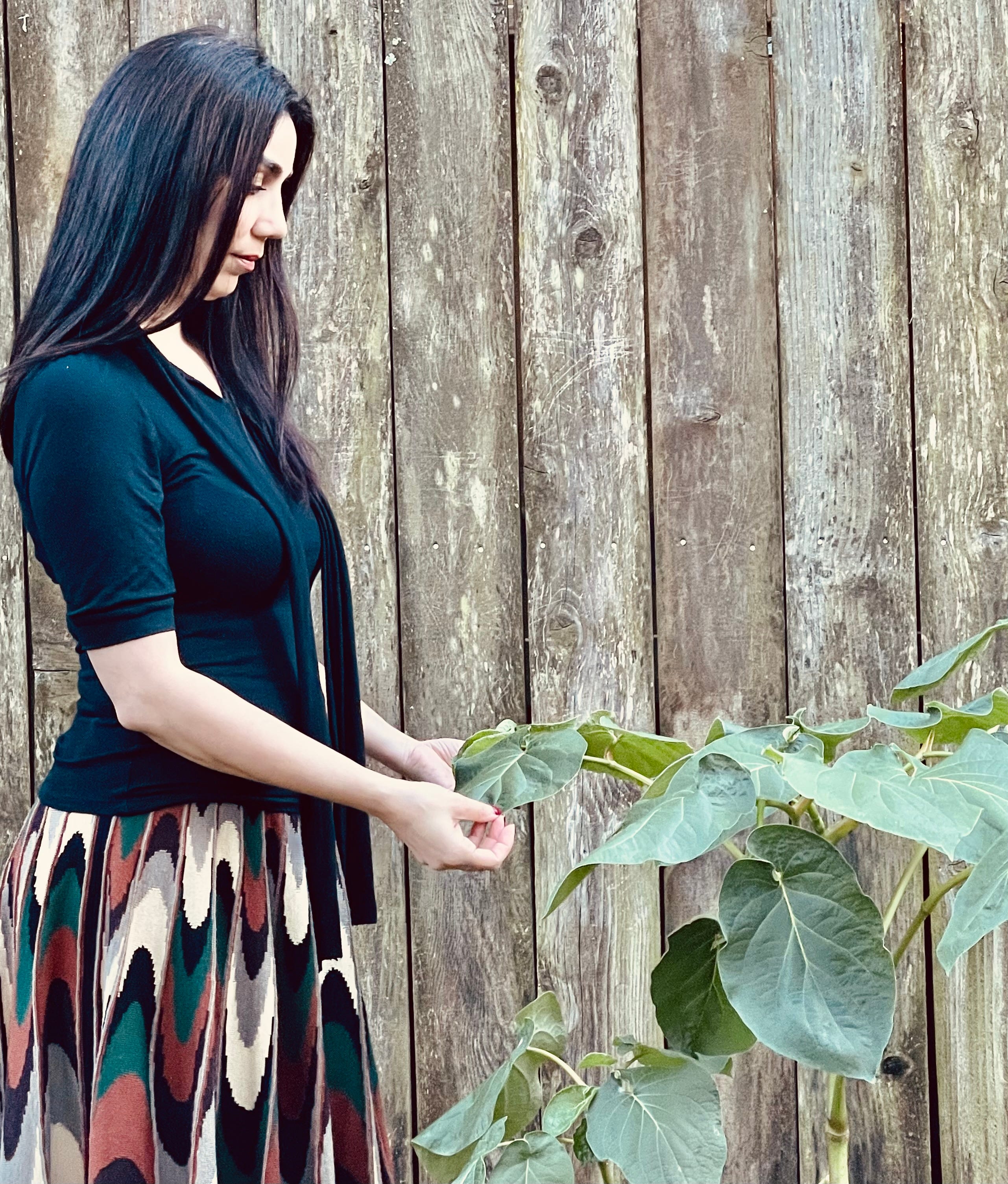 Plant - by Ruth Pilarte - Life Through a Literary Lens