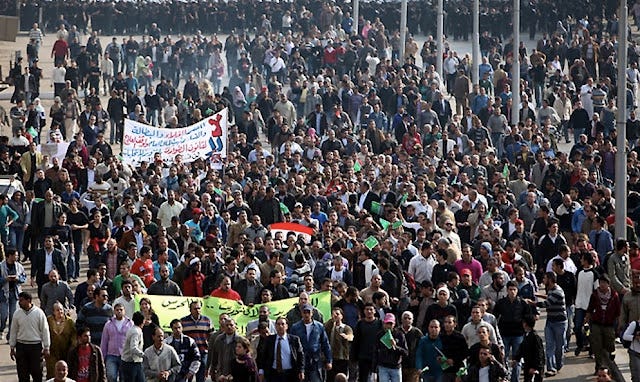 Self-Organizing The Revolution - by Raima Larter