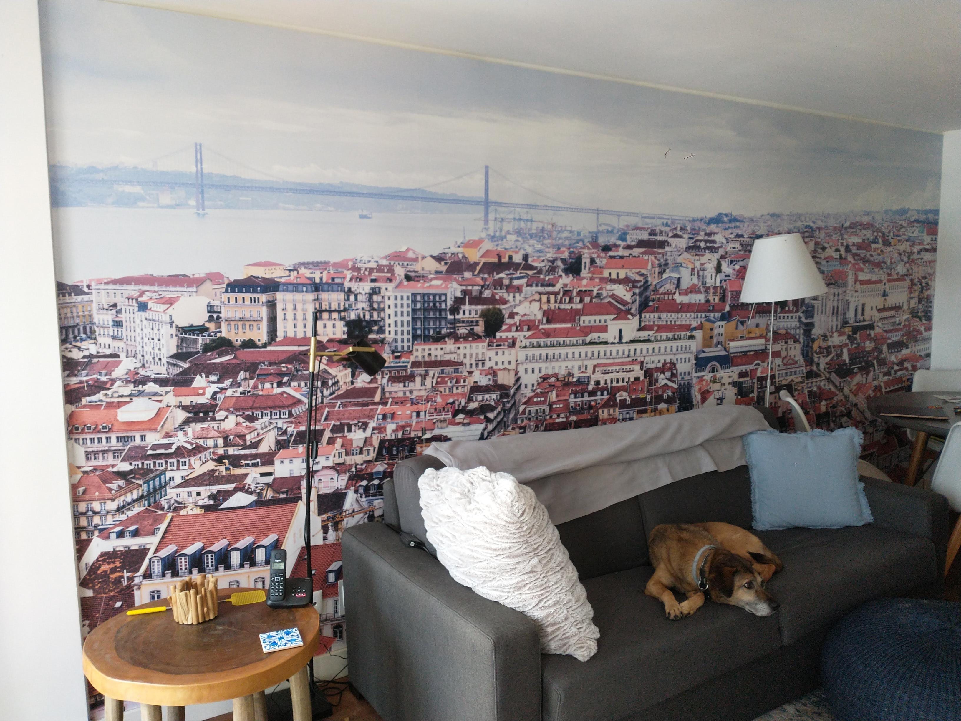 So what DOES the apartment look like?