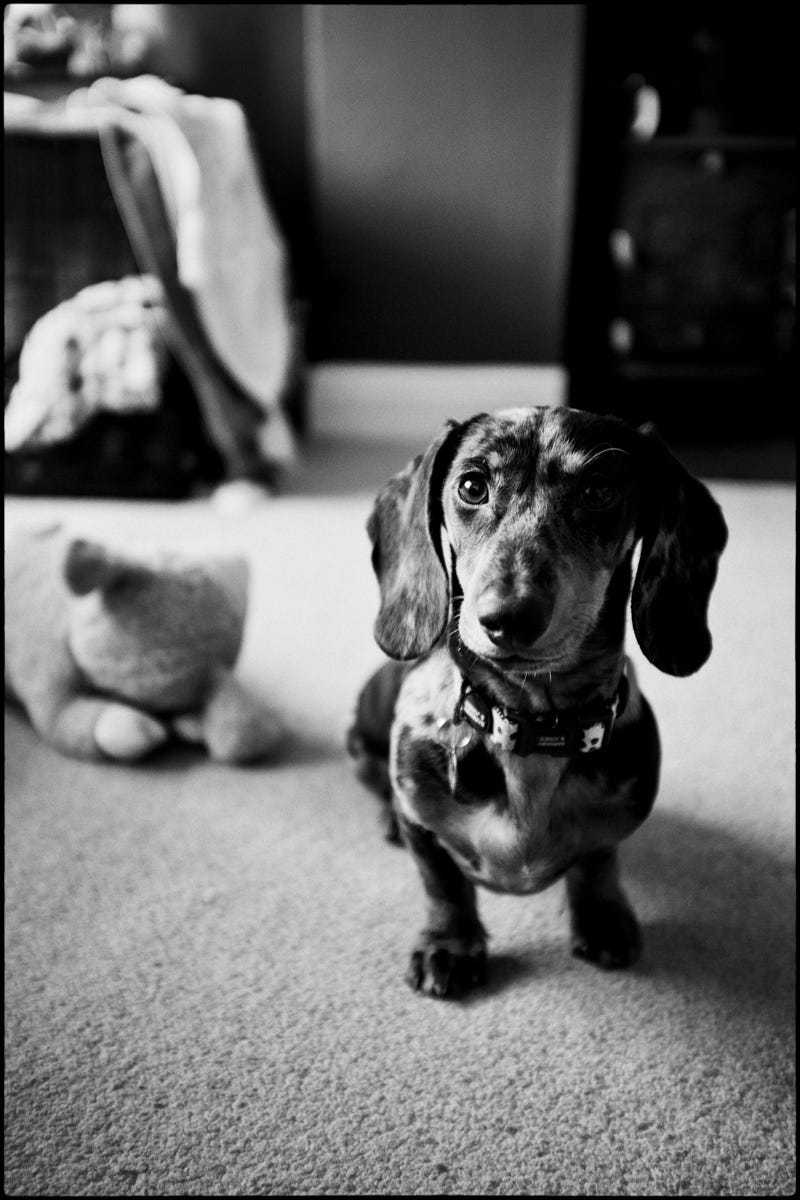 2020 A Year In Review - by Matthew Martin - Endless Proof