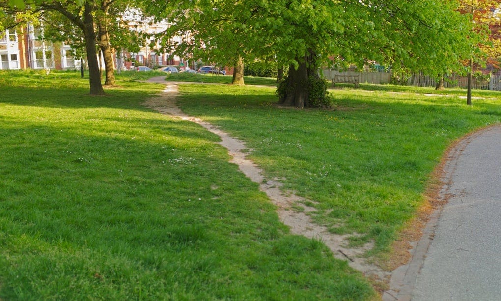Desire paths shaping work’s evolution - by Bruce Daisley
