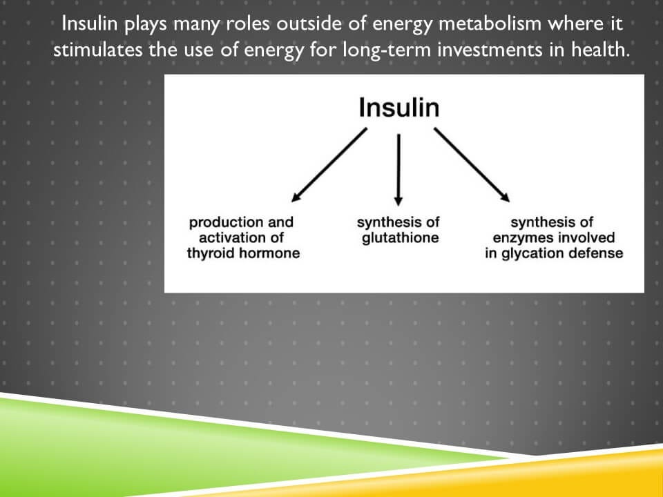 28. Insulin as a Gauge of Short-Term Energy Supply and Energetic ...