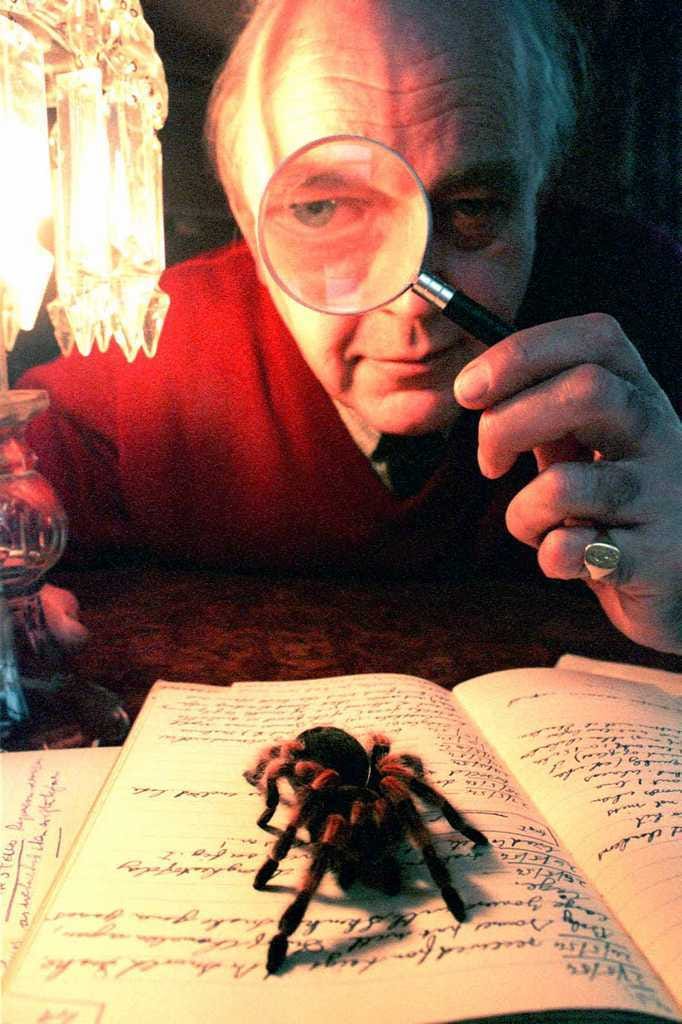 Dream Large - I Am My Niche - Rod Fleming