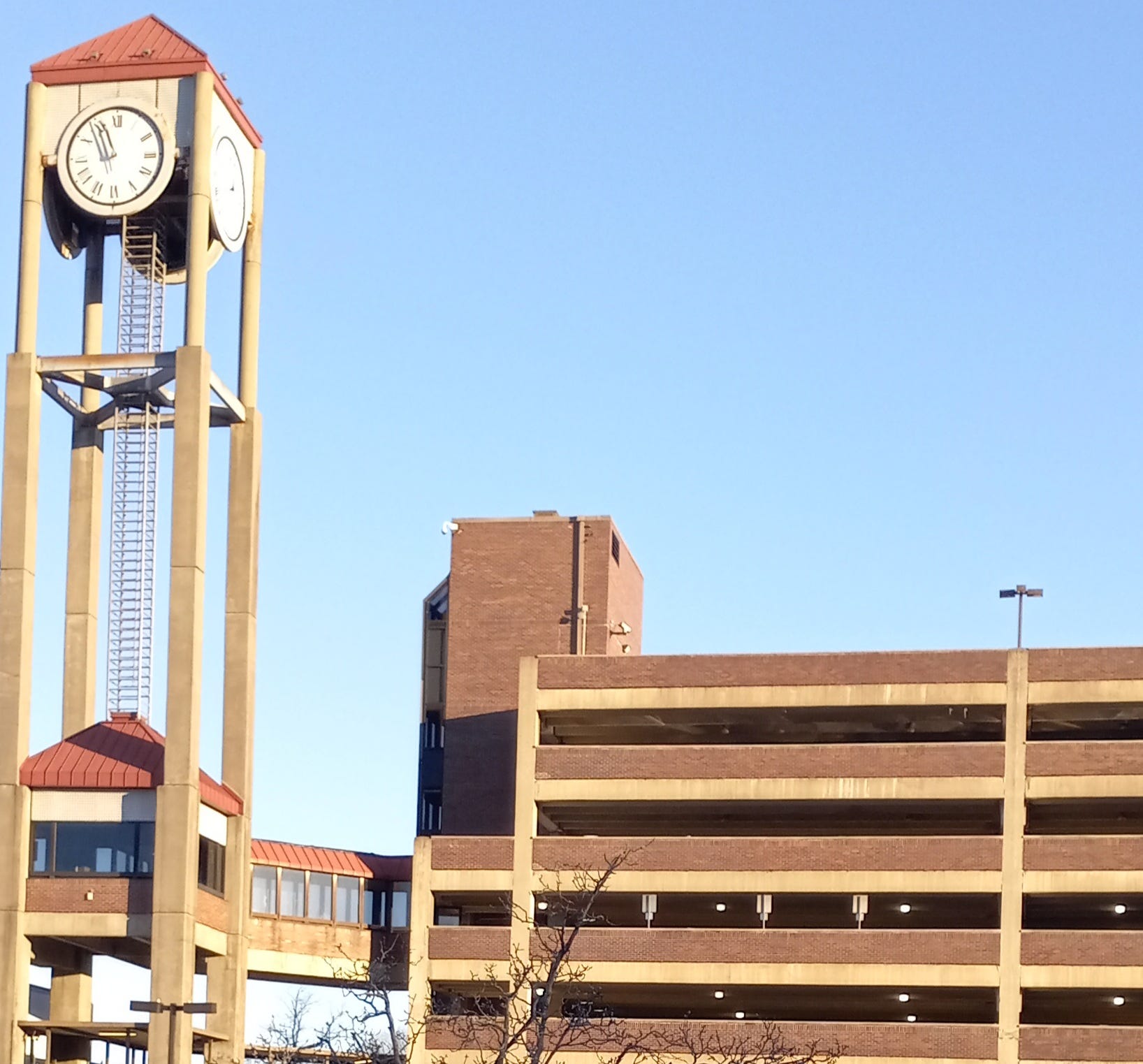 PCS Nation: Shaved Bush Park Report! - PCS Nation