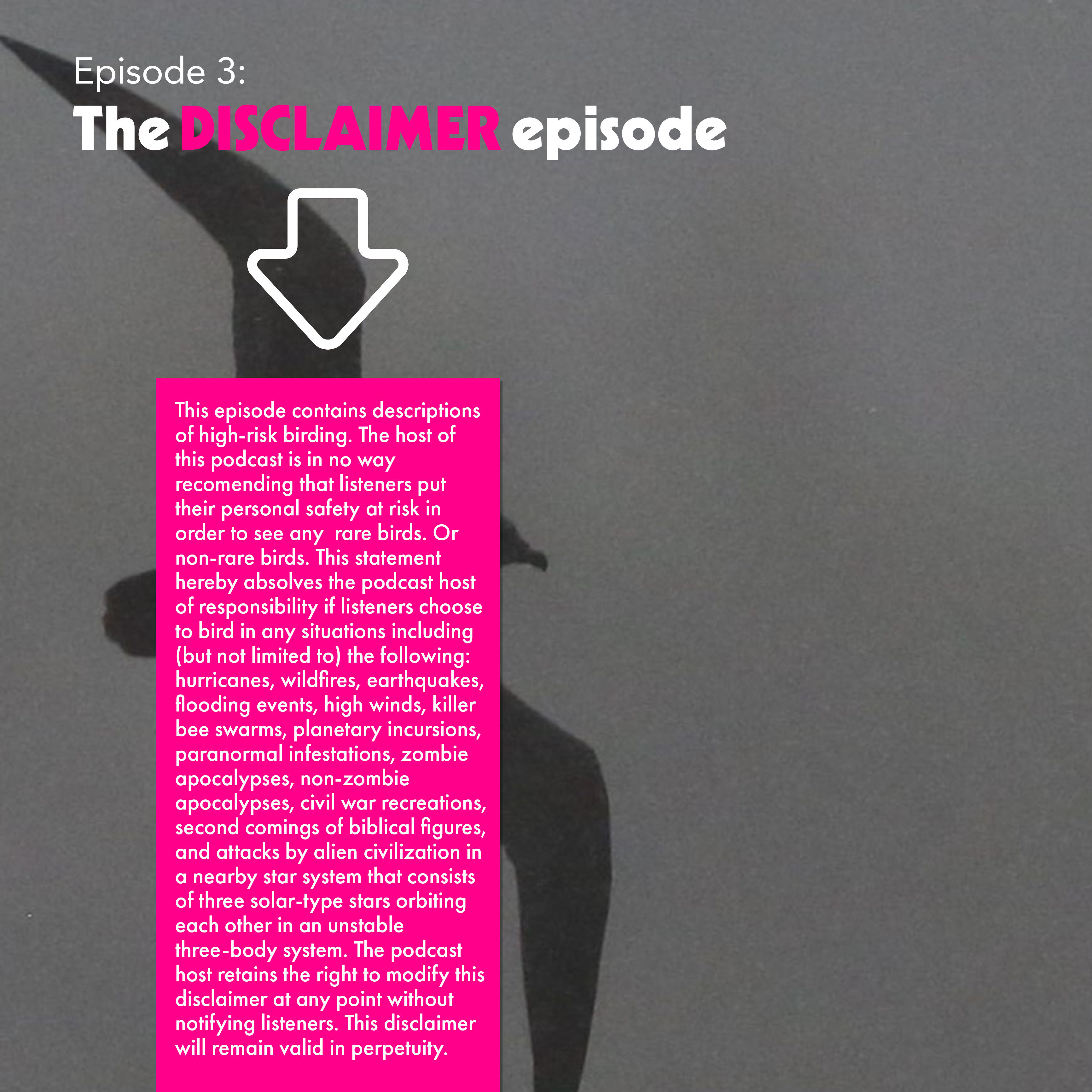 Episode 3: The Disclaimer Episode - by Jer Thorp