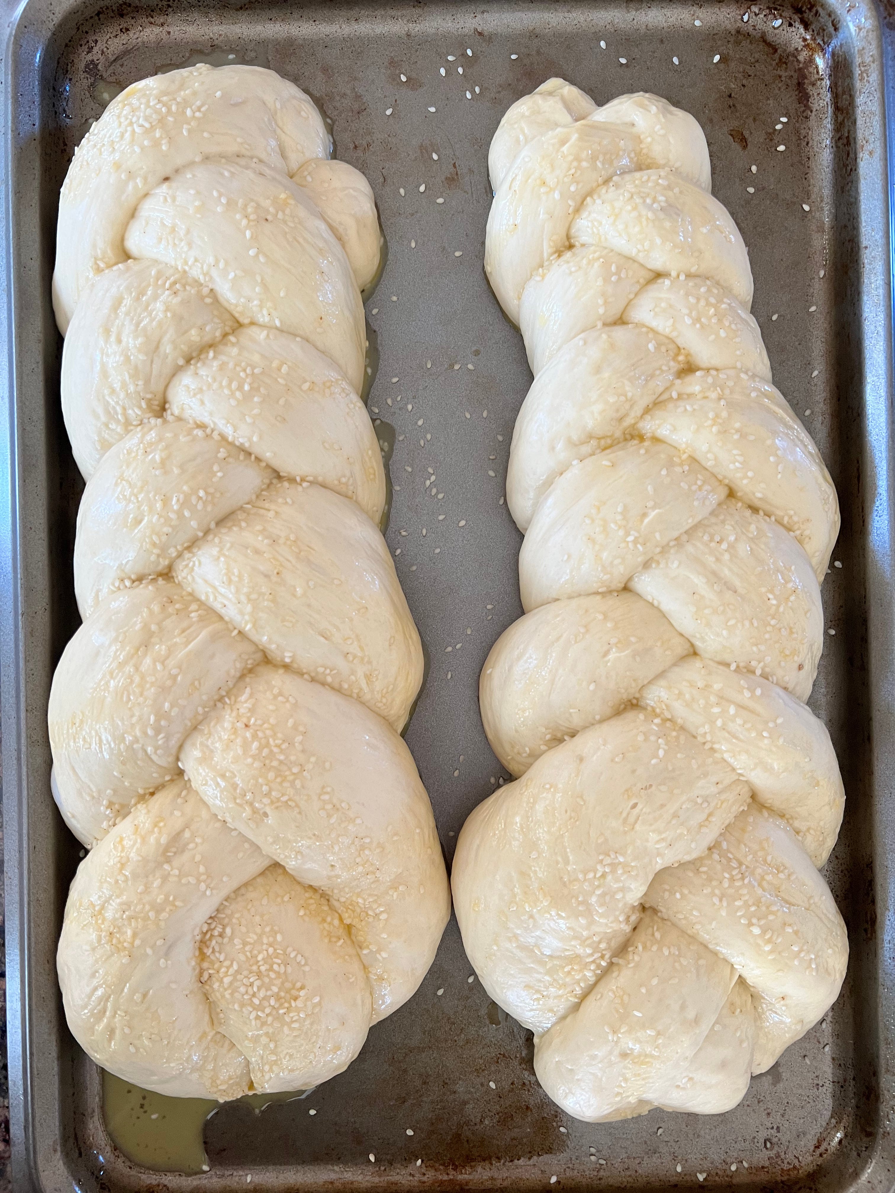 Sesame Wheat Braids - Clippings Club