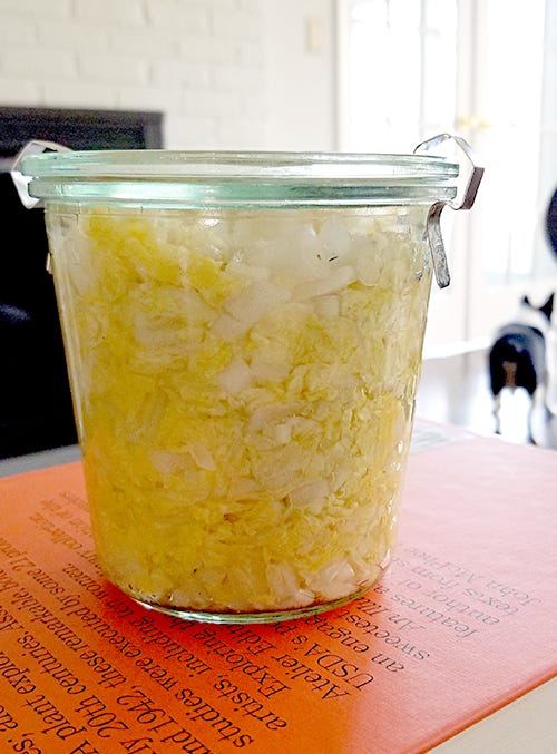 Preserved Cabbage from Scratch—Part One