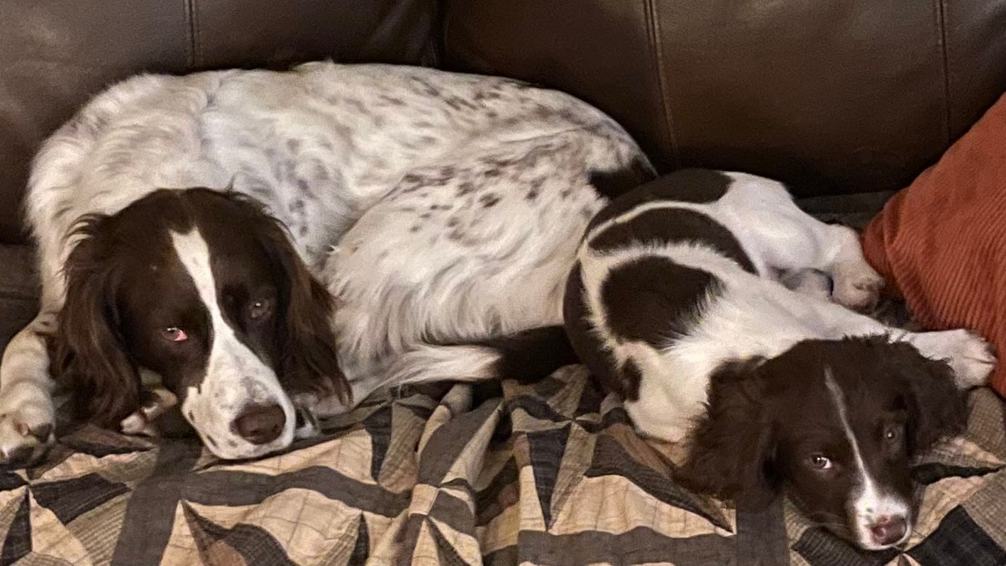 2022: The year in posting - Carl Beijer