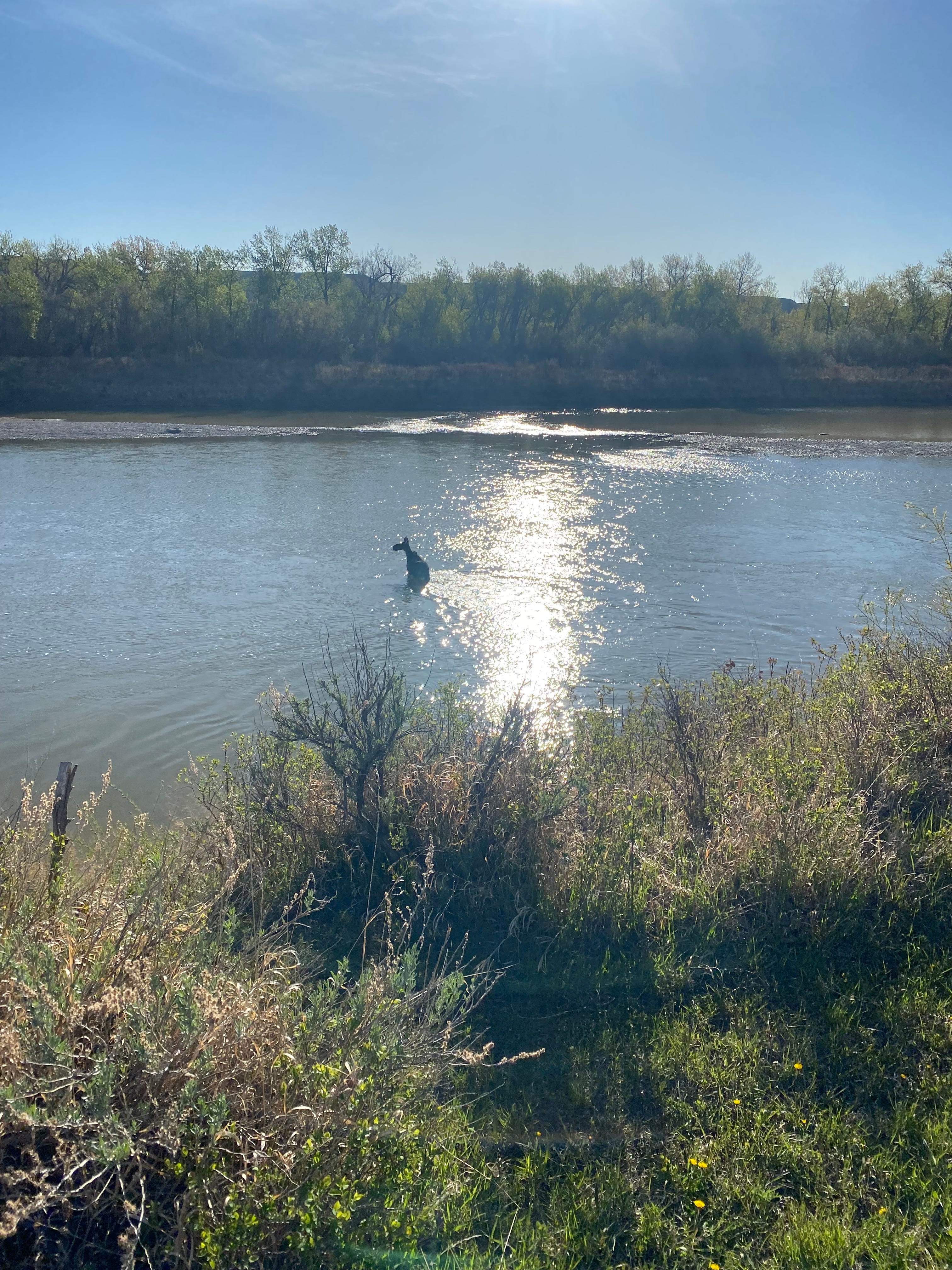 Field Notes - by Monte Solberg - Wonderstruck