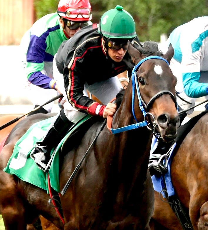 Making an Impact - by Nigel Reid - Horseracing BC