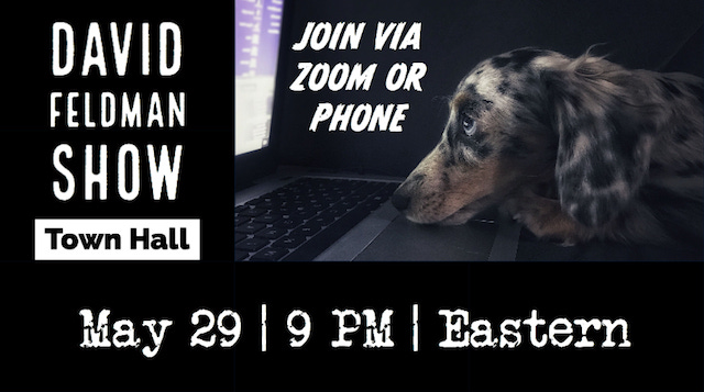 Tonight! A Town Hall - David Feldman Show