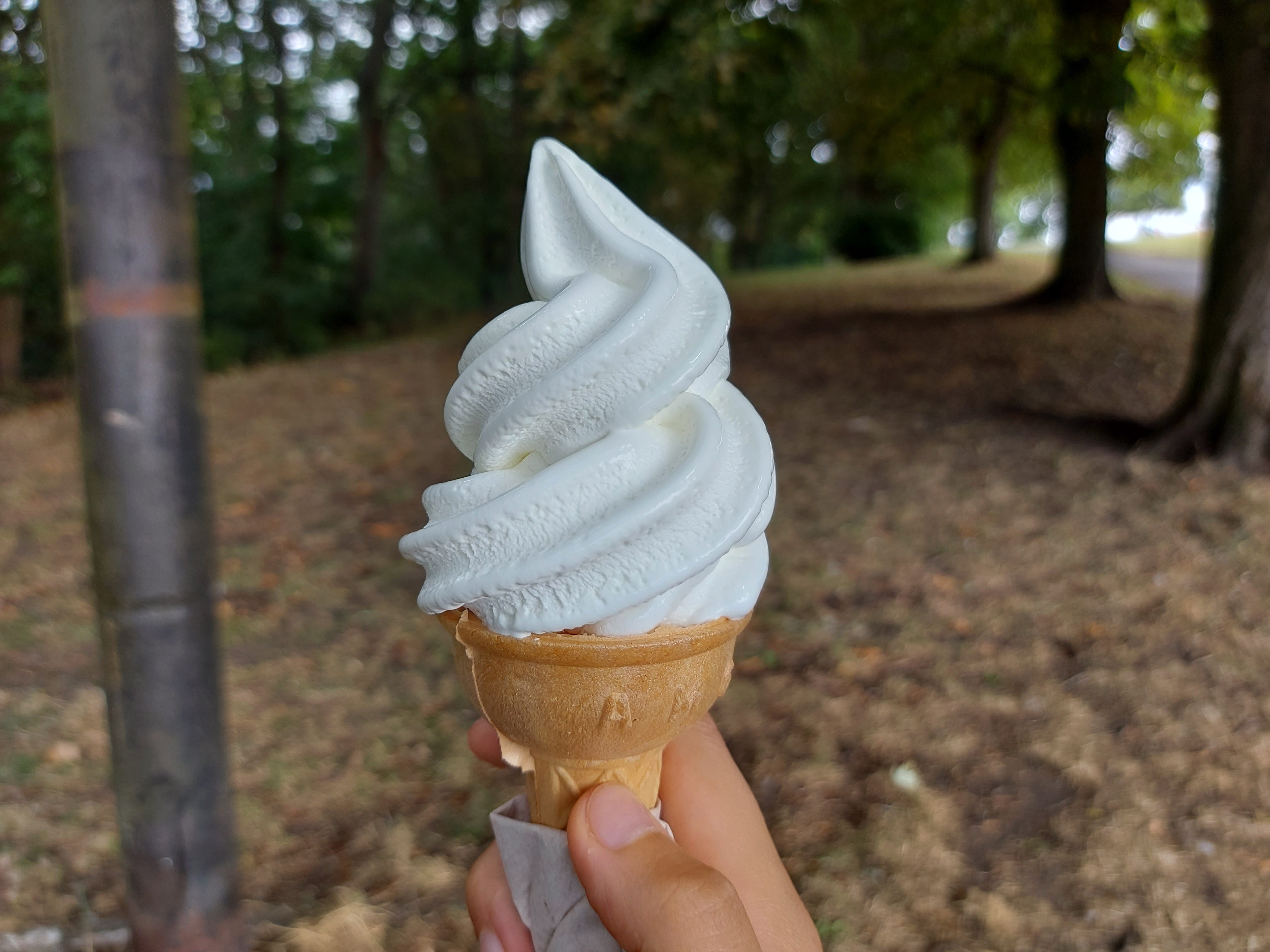 The Siren Song of Soft Serve - Vittles