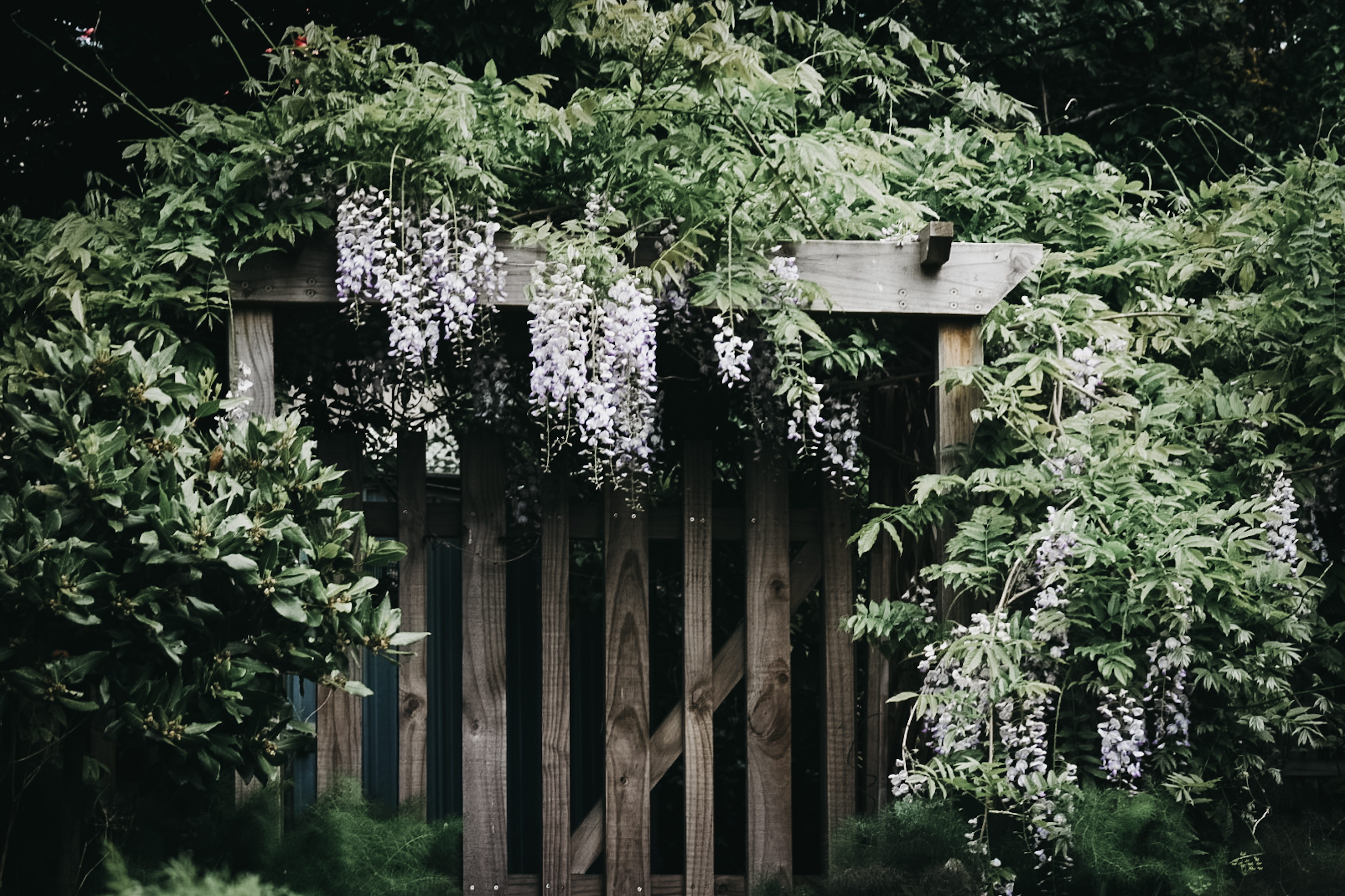 Pottering - by Mel Adams - Pollination Garden