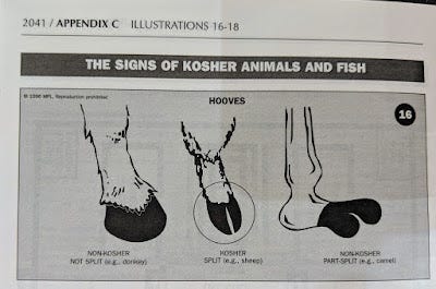 Split Hooves Animals