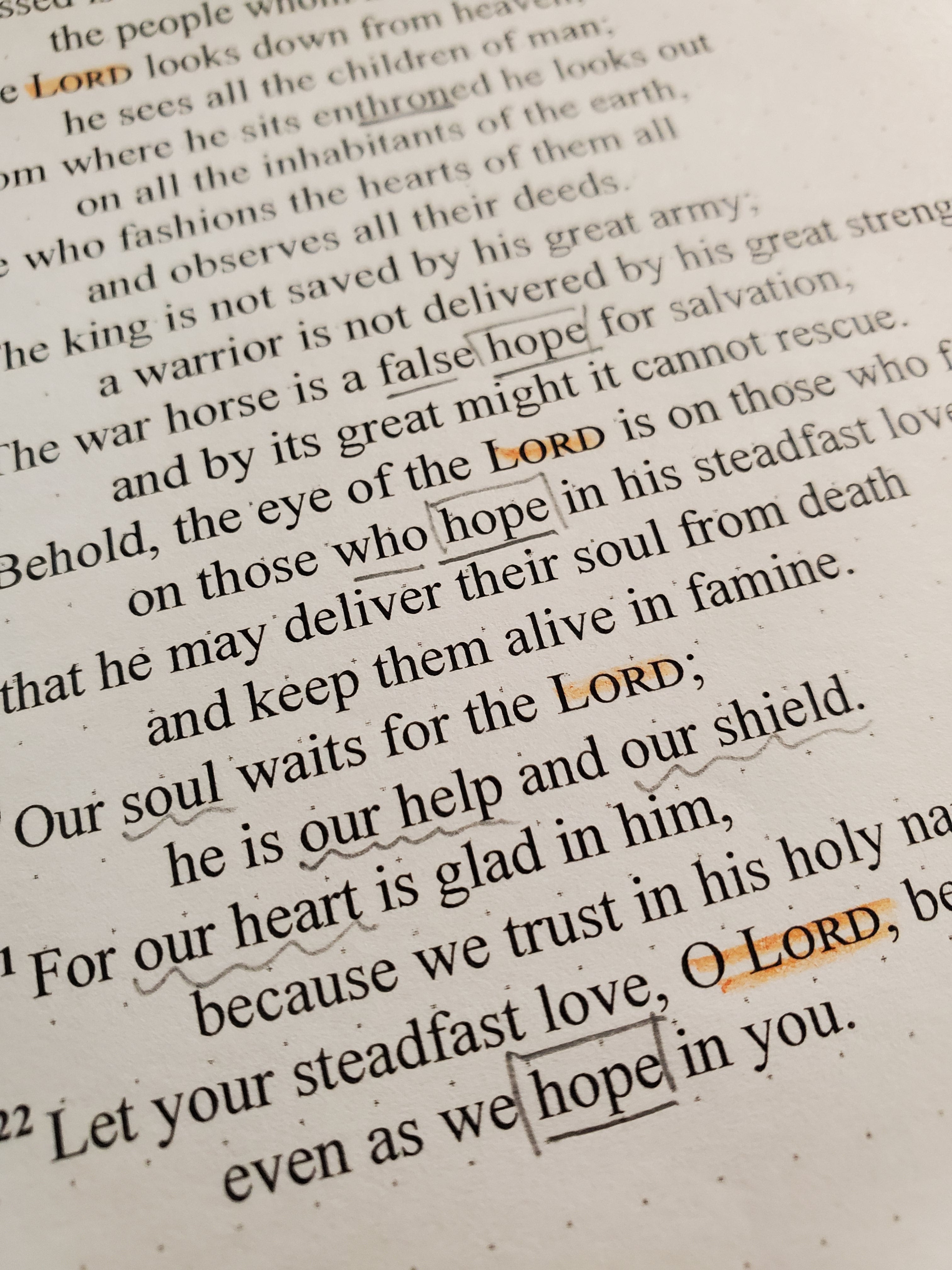 Stewards of Hope - by Bryan Wolfmueller