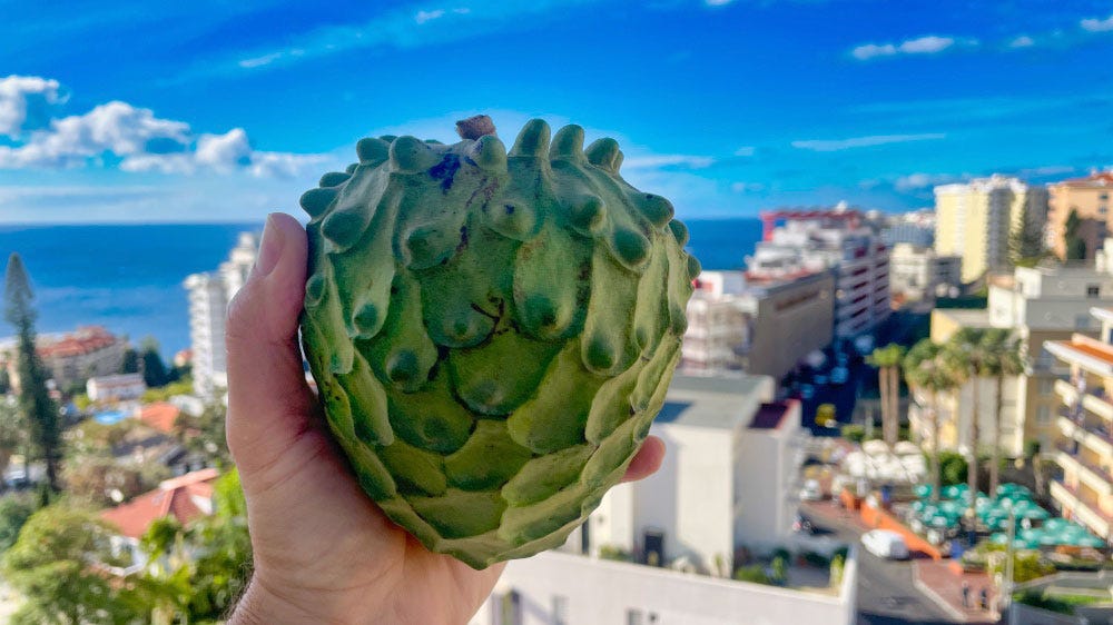 The Magnet 72: Exploring the Delicious Fruits of Madeira — A Tasting ...