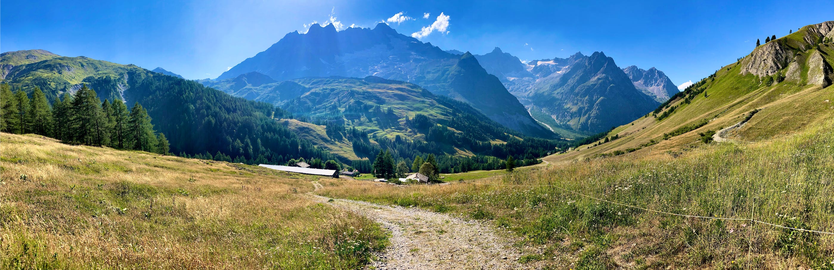 Alpine Meadow - by Chris Merck - Northeast Naturalist