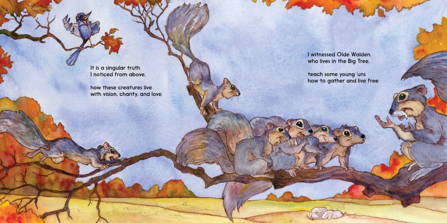 Childrens Book Review: The Squirrel Manifesto