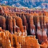 Bryce Nortje | Substack