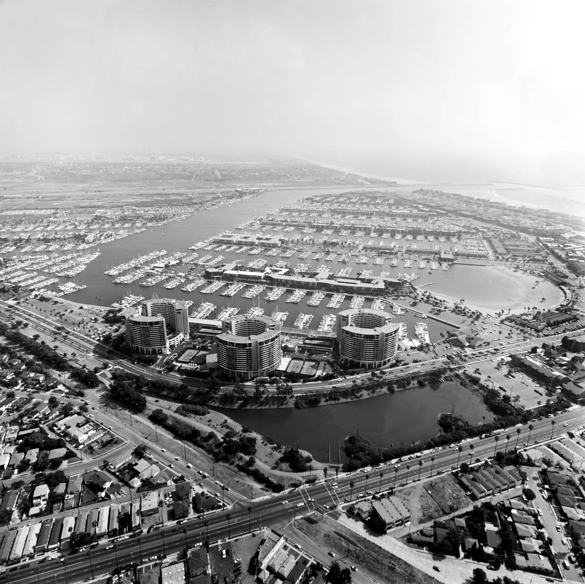 Anthony J. Lumsden - by Pedro Joaquín Martínez Zellner