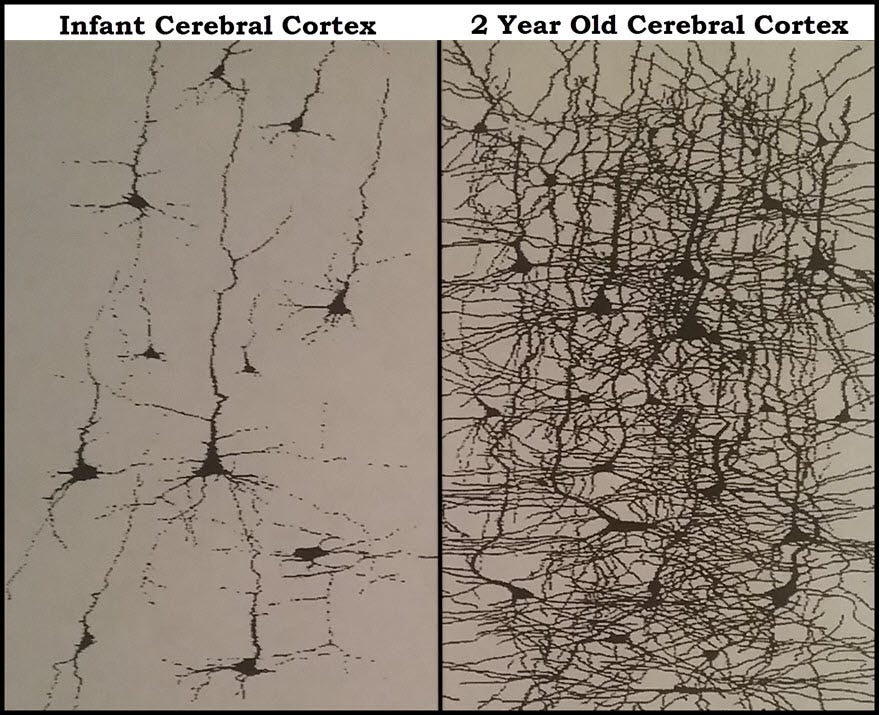Part 7: Understanding Ego-States - by Don Carter MSW, LCSW