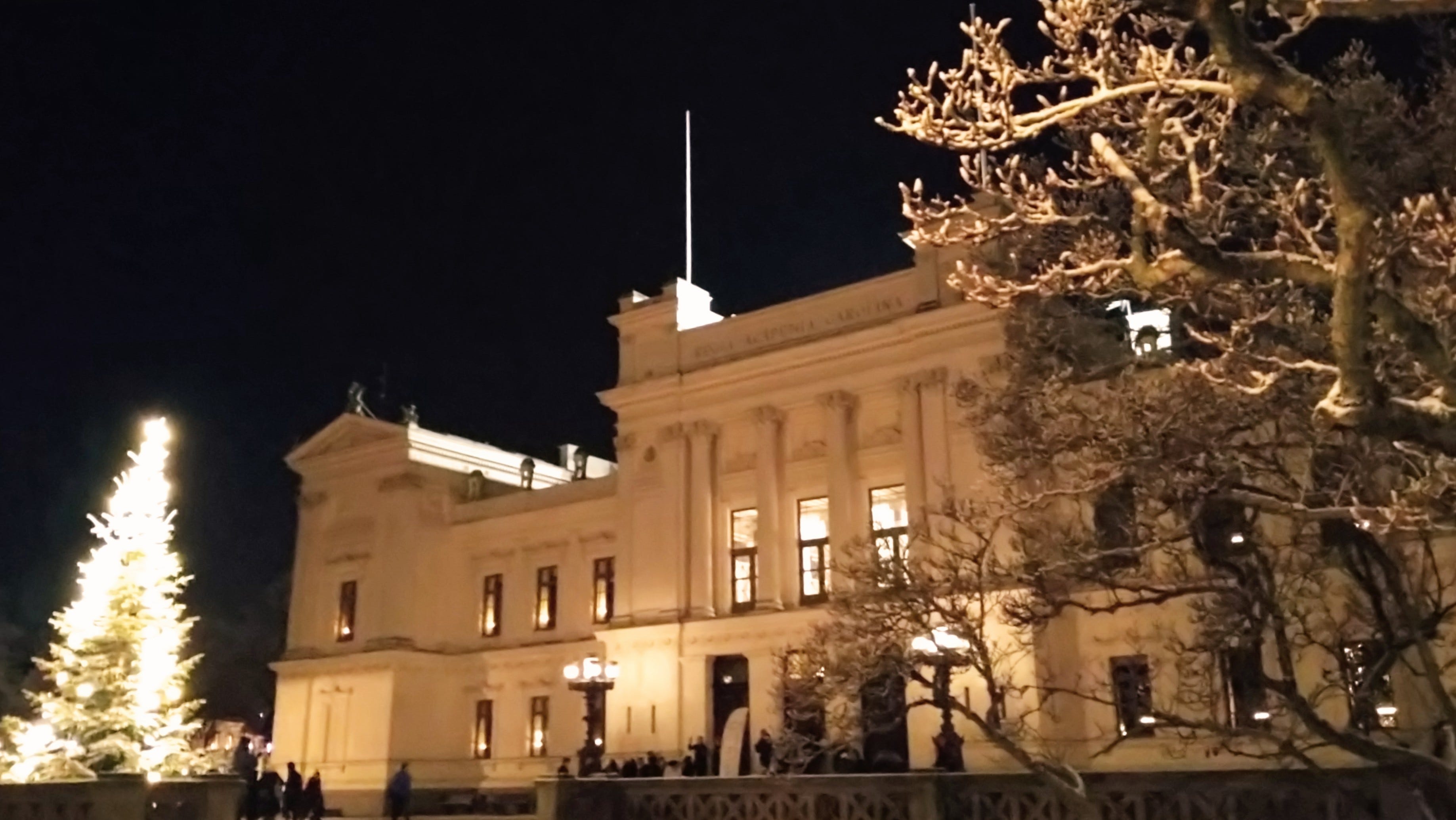 Issue 125: Happy Lucia Day! - by Viktoria Wågert