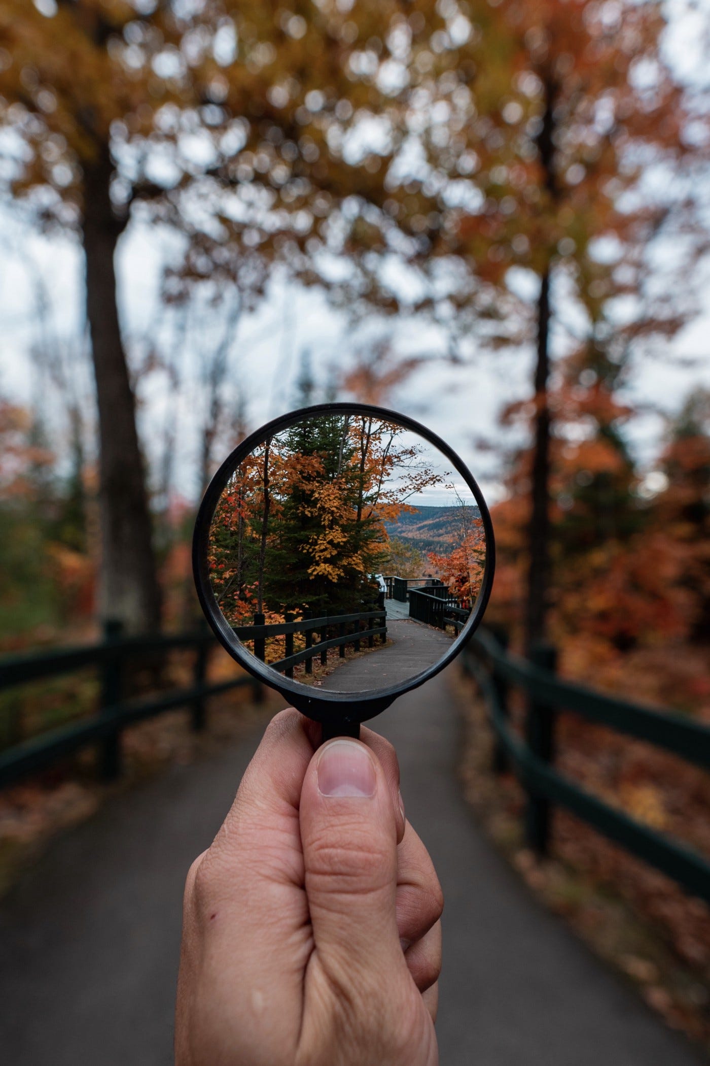Living In The Lens By Christian Ashliman Bedletter living-in-the-lens-by-christian-ashliman-bedletter