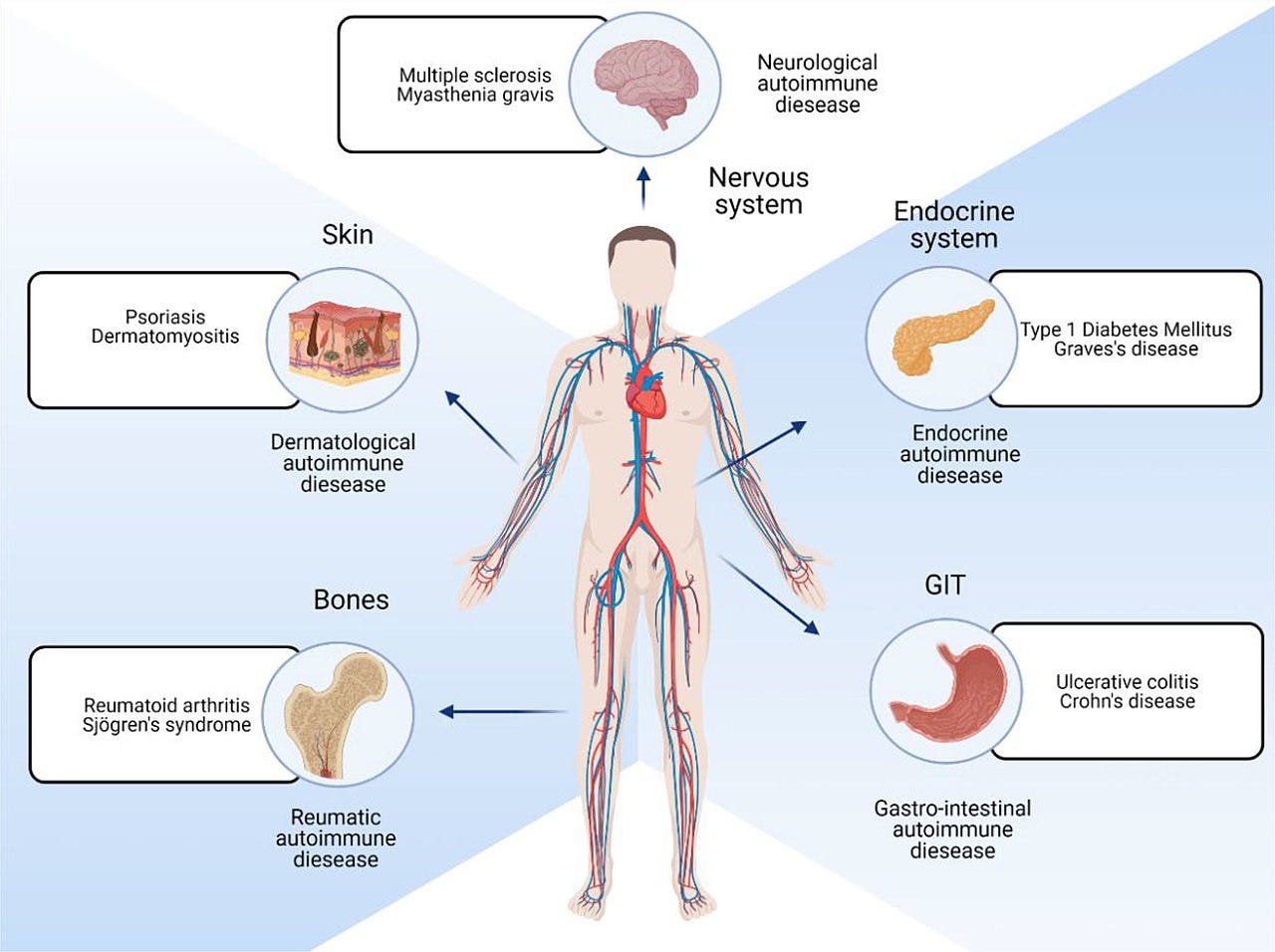 The Molecular Roots of Self-Identity - by Nick Jikomes, PhD