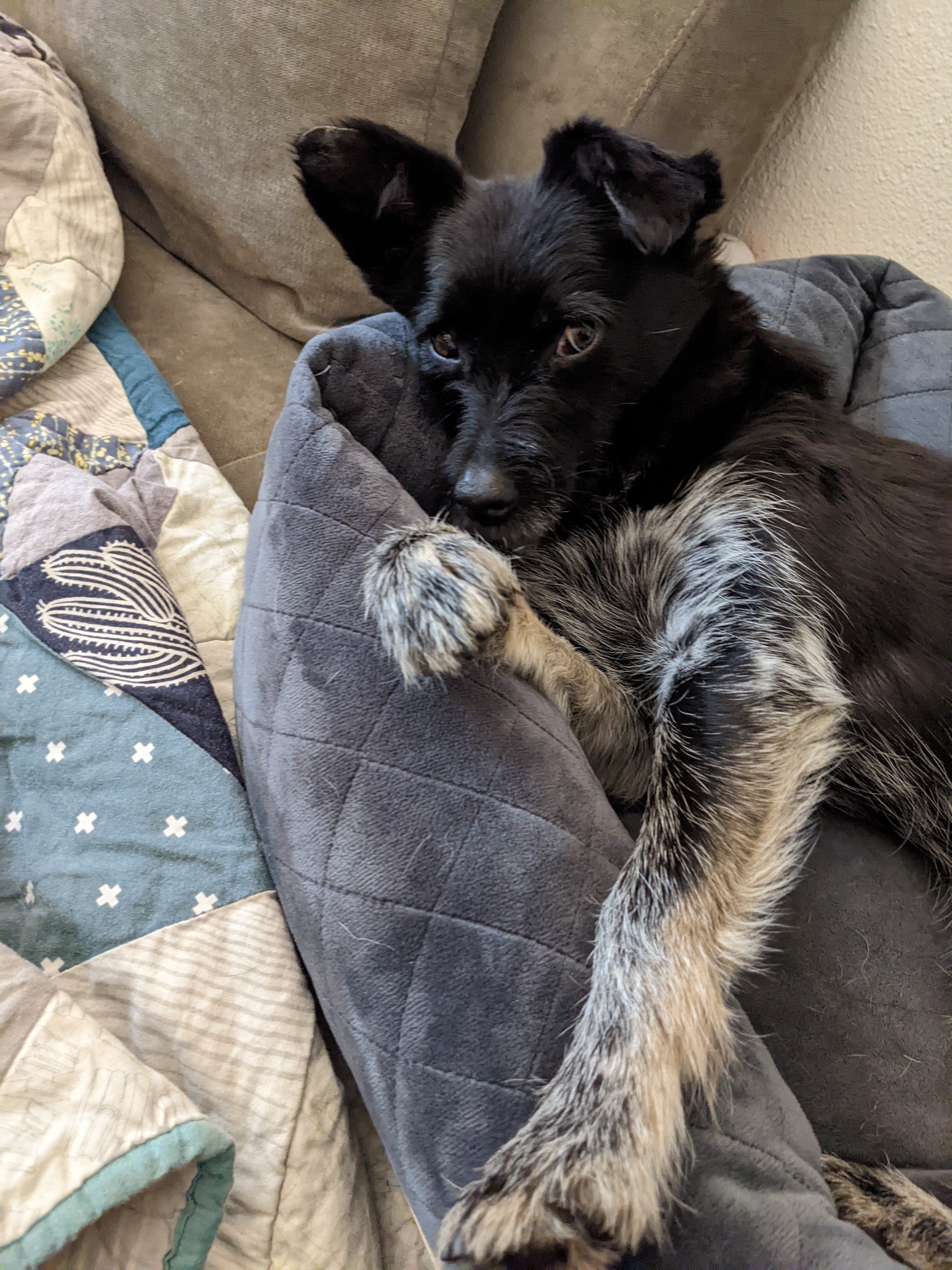 May Mishmash - by Michelle Flook - Michelle’s Mishmash