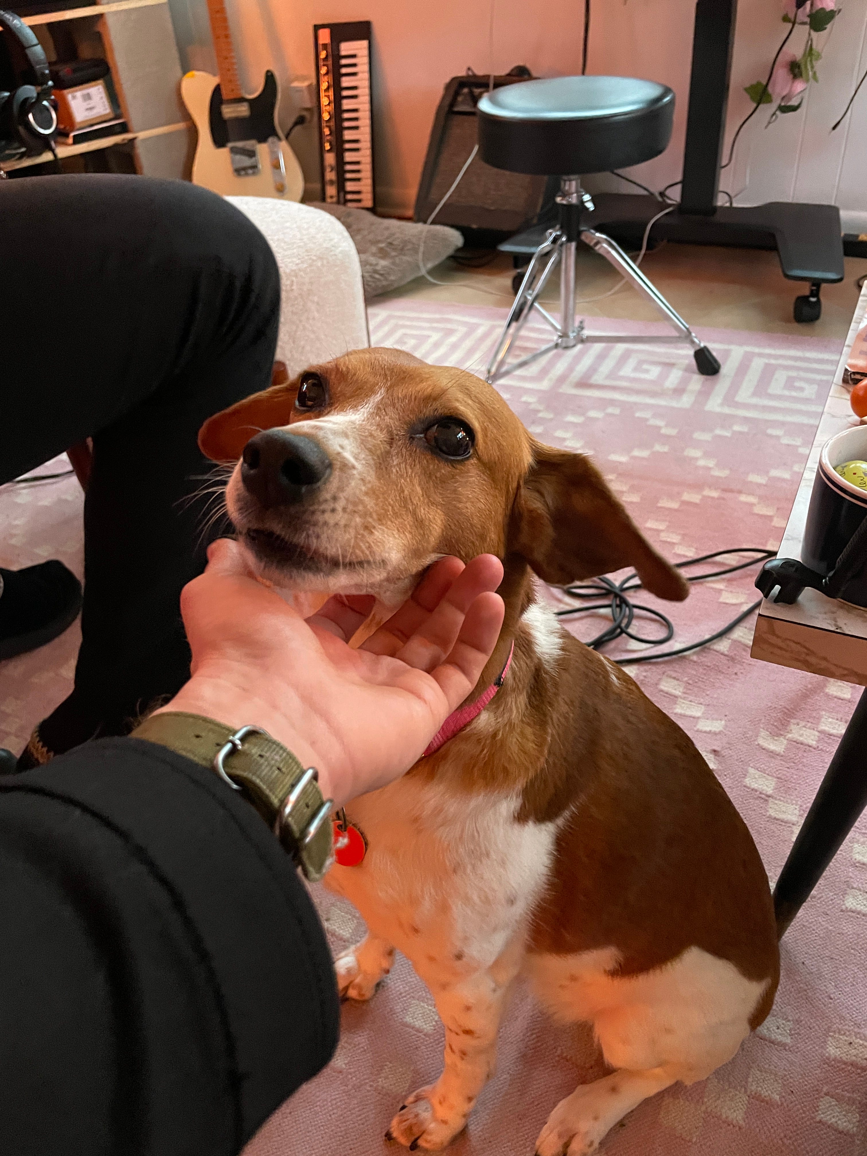 Bob Voyage - Spencer Tweedy