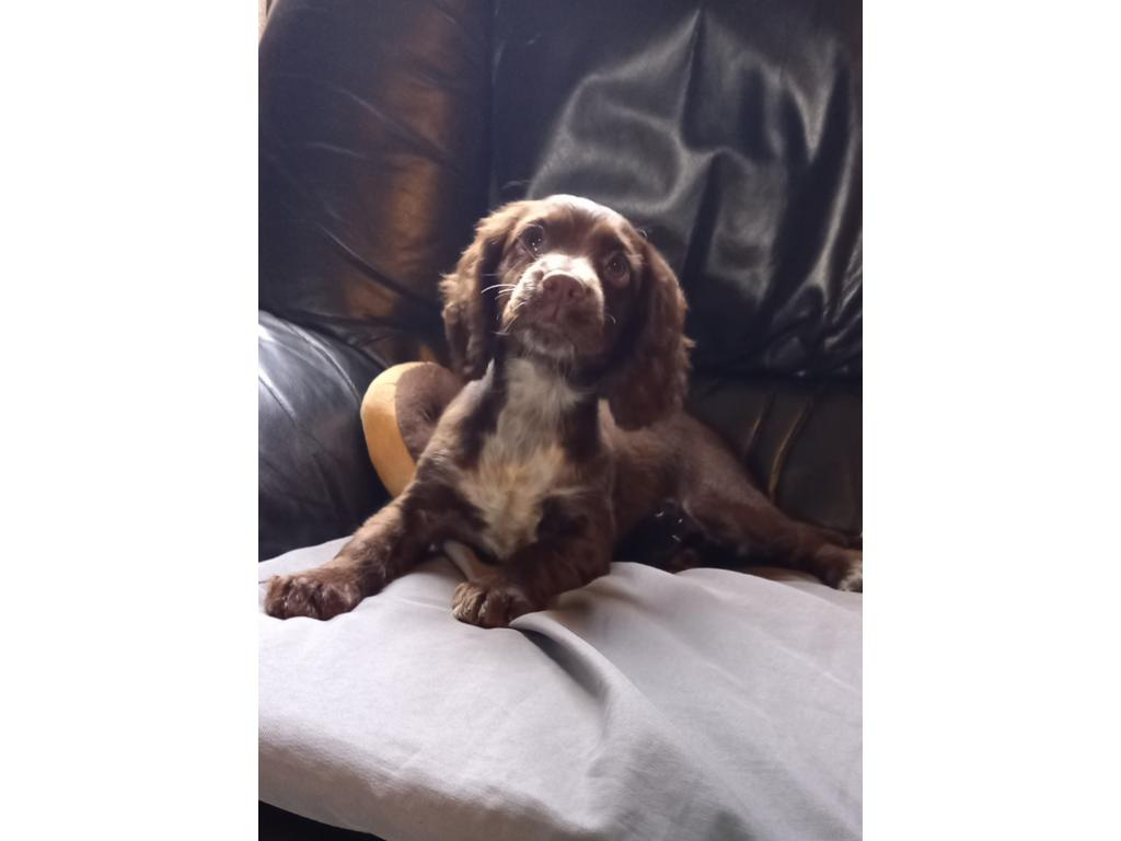 Taking a leap... - by Agnes Davis - Chasing Angels