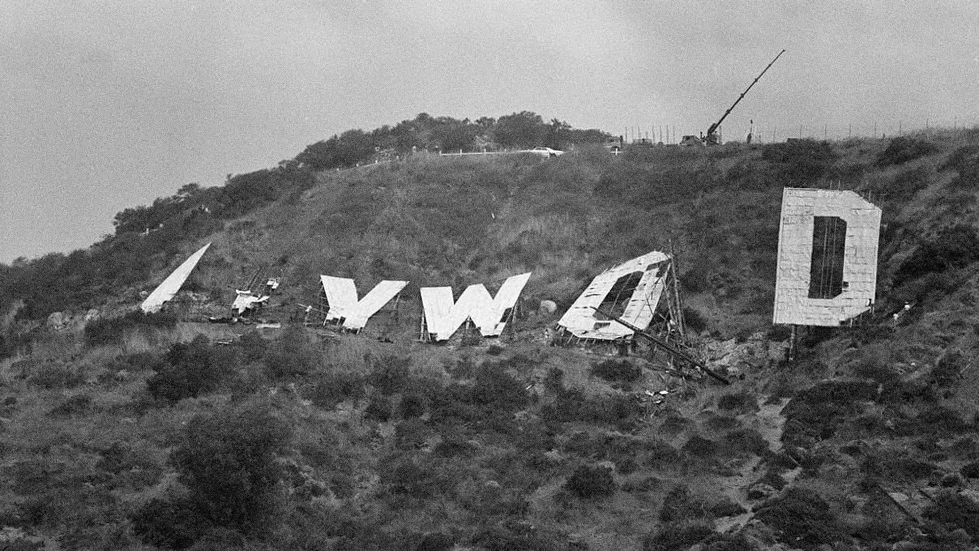 The Creator Paradox: Cultural Stasis Amidst Creative Surplus