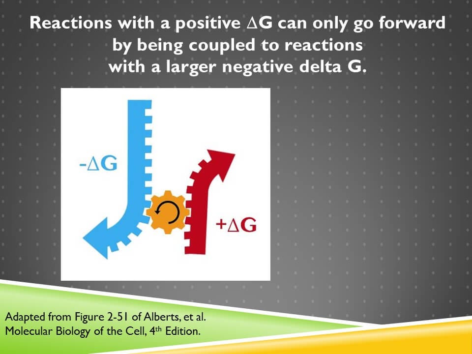 1. Thermodynamics, Energy, and Order