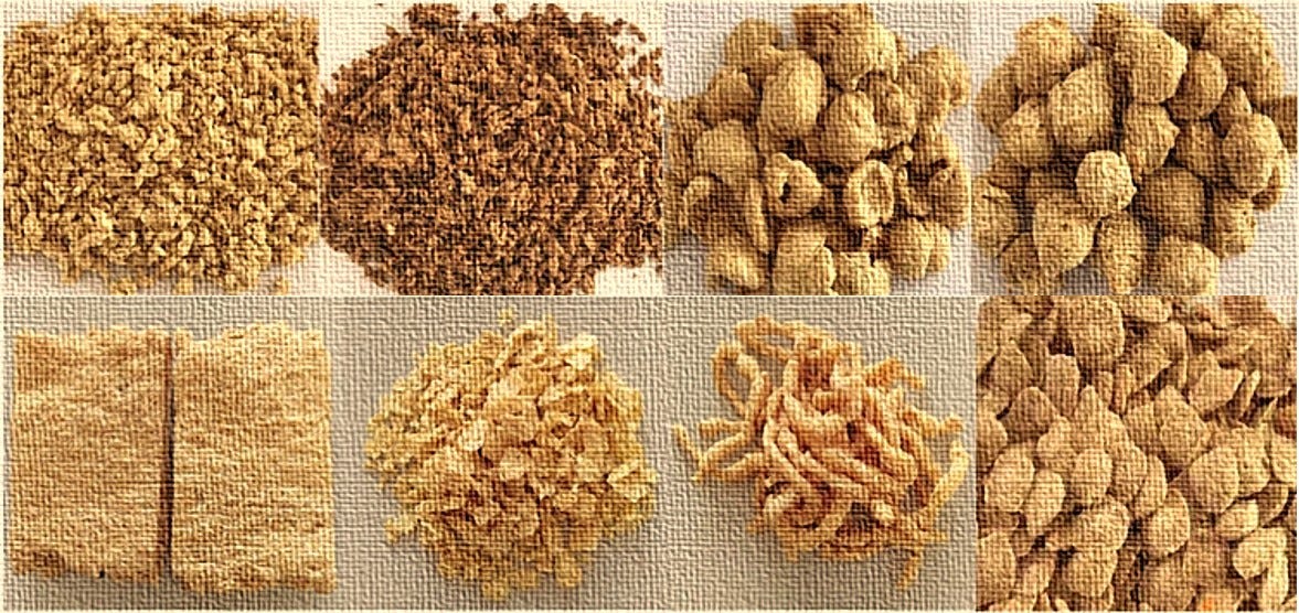 Extrusion process in food technology - by Xi LIU