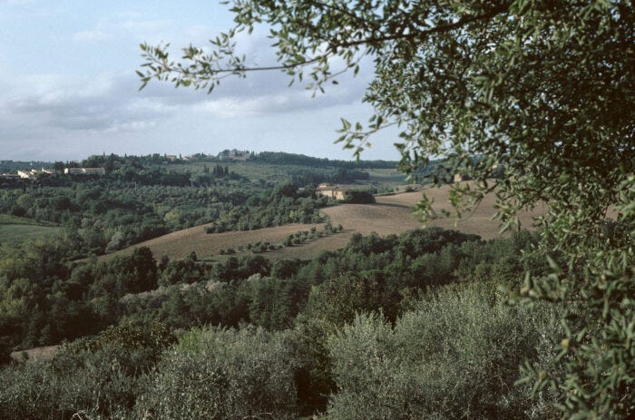 Fattoria Cerbaia Chianti Classico 2011 - by Oliver Hauser