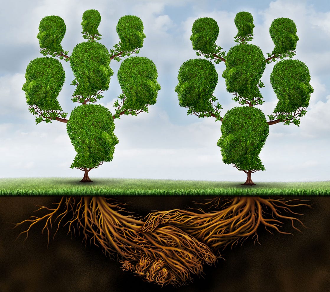 Are you wearing CURSED GORP?? - Blackbird Spyplane