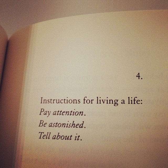 Fridge poems - Austin Kleon